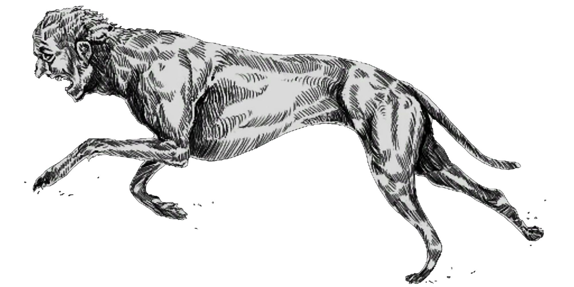 Hunt: Showdown Best Traits, Ranked