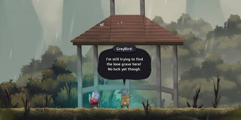 Beginner Tips For Islets