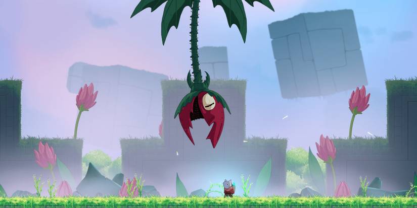 Beginner Tips For Islets