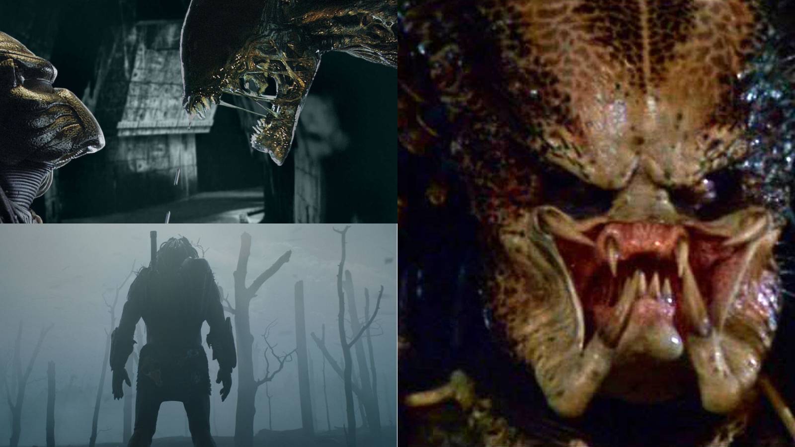 The Most Powerful Predators, Ranked