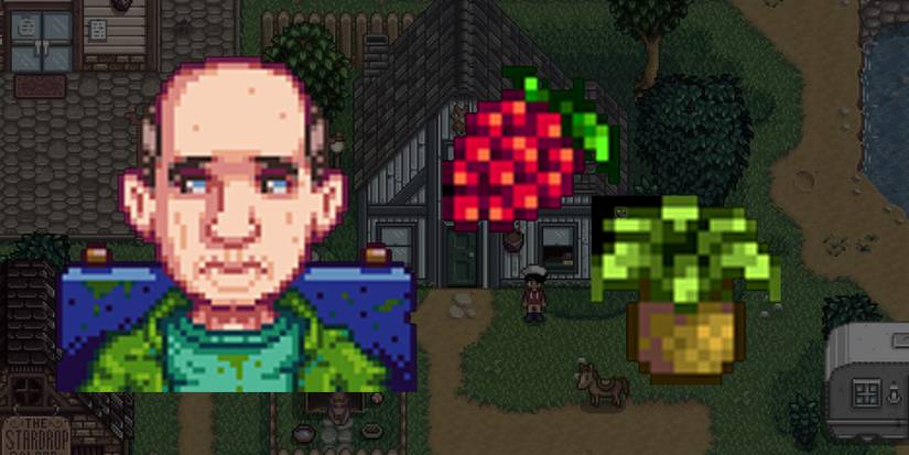Stardew Valley Friendship Guide: George