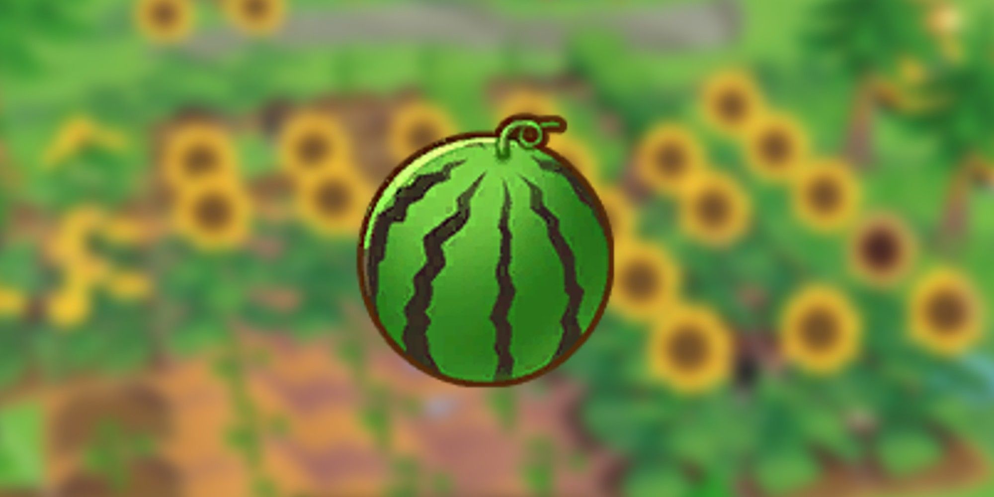 Story Of Seasons: Pioneers Of Olive Town – Best Crops For Summer
