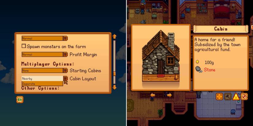 Stardew Valley: Advanced Options, Explained