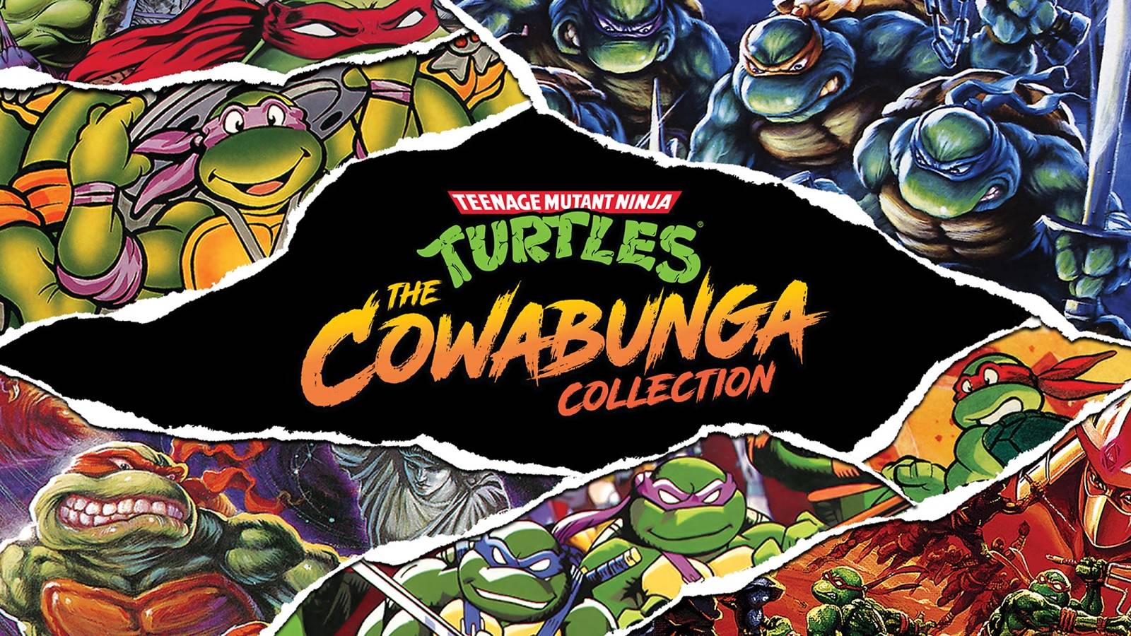 Teenage Mutant Ninja Turtles: The Cowabunga Collection Review