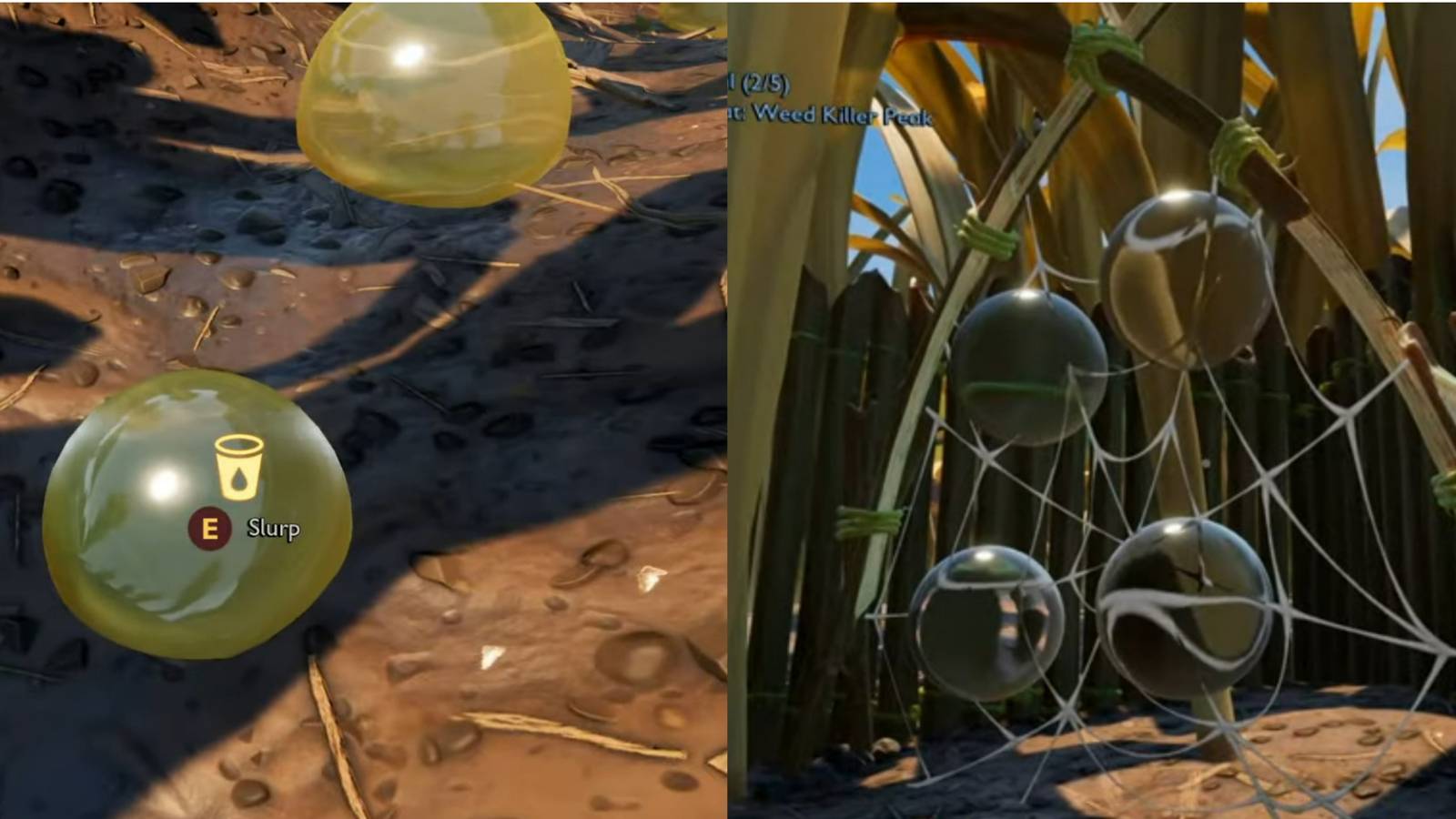 Grounded: How To Find Clean Water