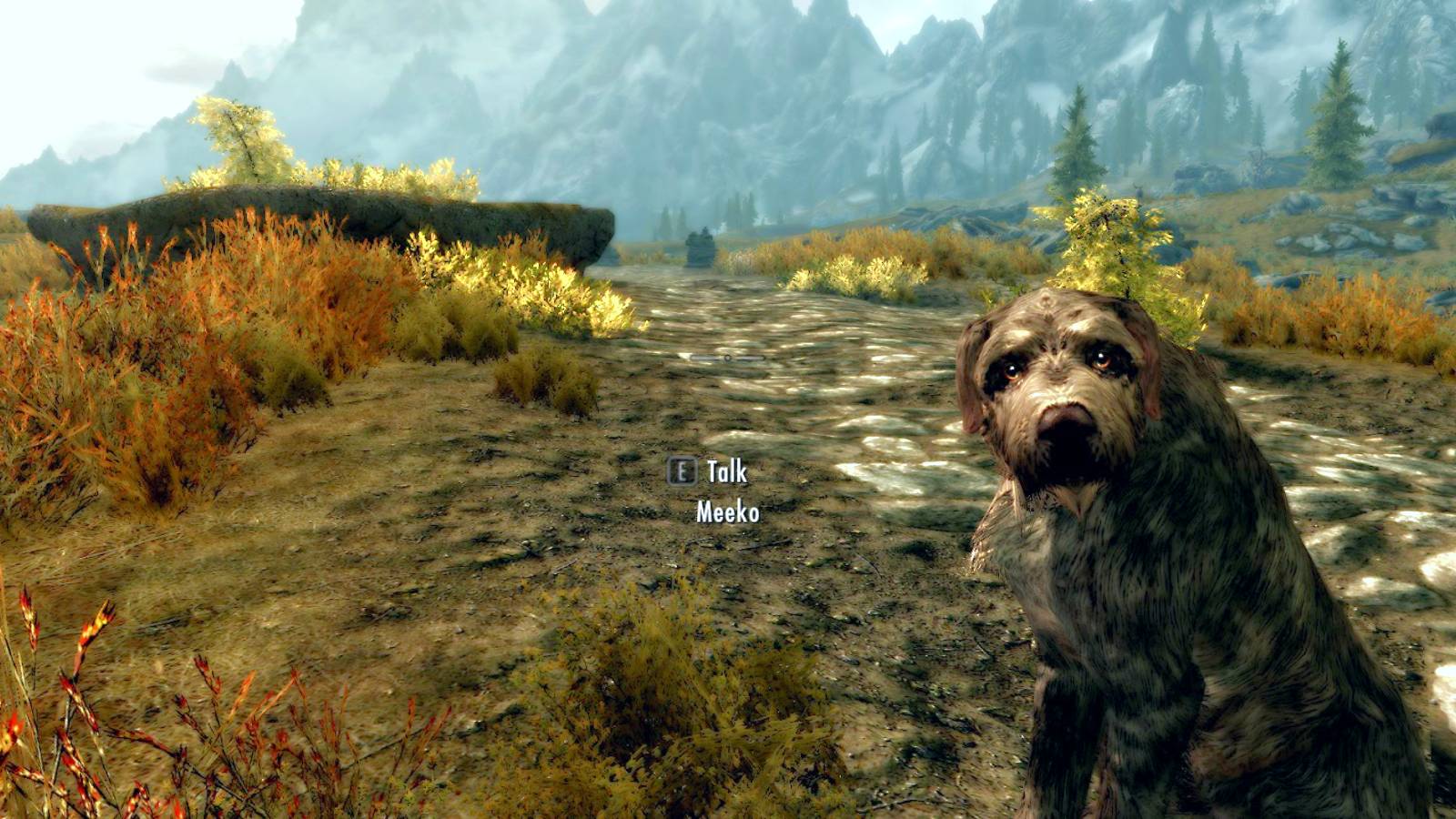 Skyrim: Why Meeko is the Game’s Most Tragic Animal Follower