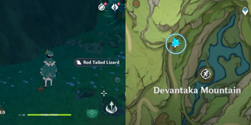 Genshin Impact: Complete Guide To Omni-Ubiquity Net