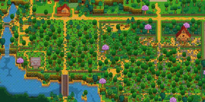 Stardew Valley Expanded: Farm Layouts