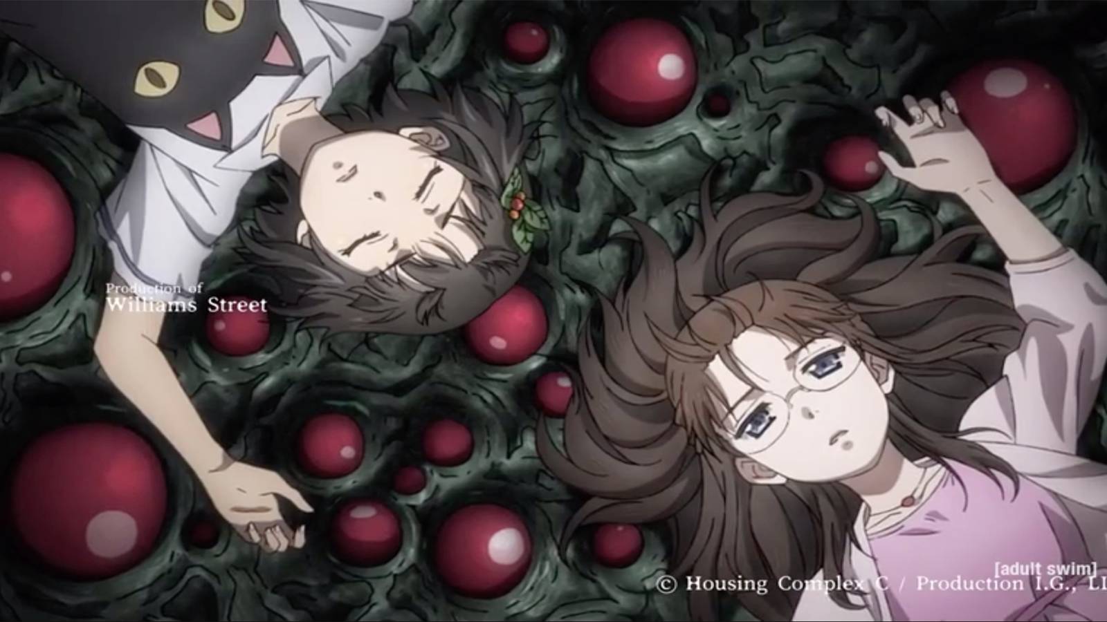 Housing Complex C: First Impressions