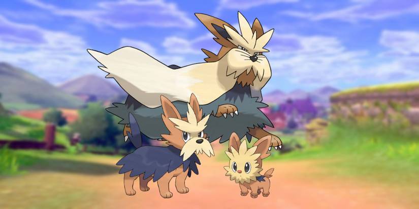 Can Lillipup Be Shiny in Pokemon GO? (2023)