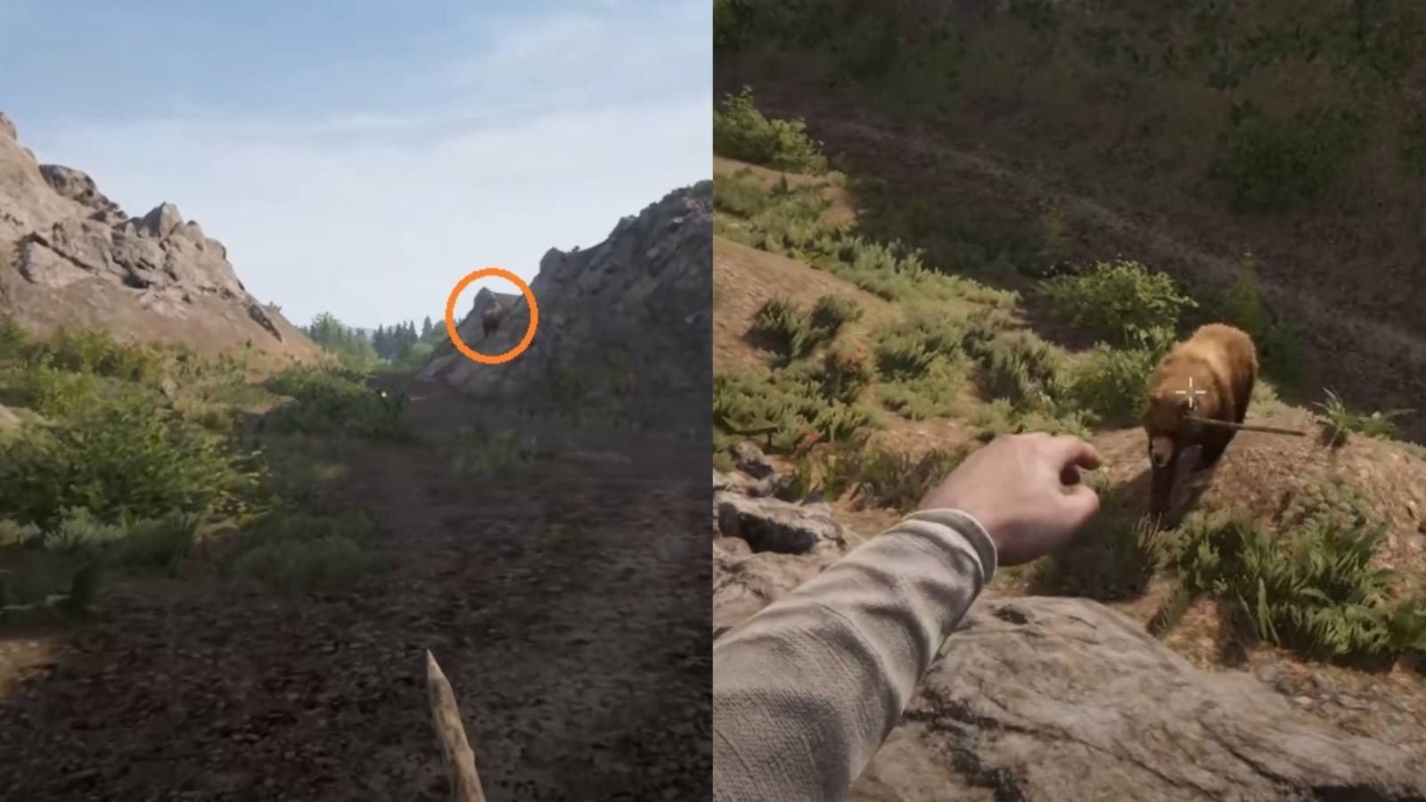 Medieval Dynasty: Where to Find Bears