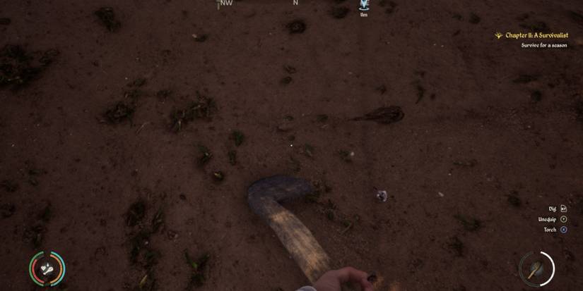 Medieval Dynasty: How to Find Clay