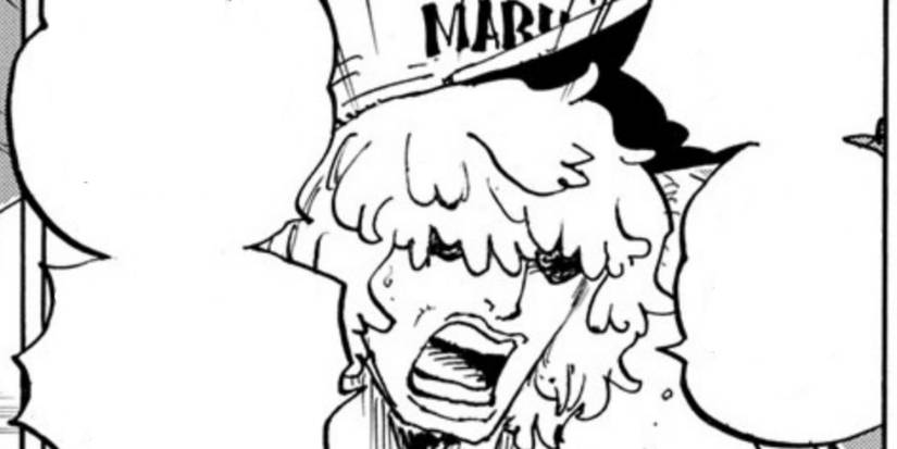 All Known SWORD Members In One Piece