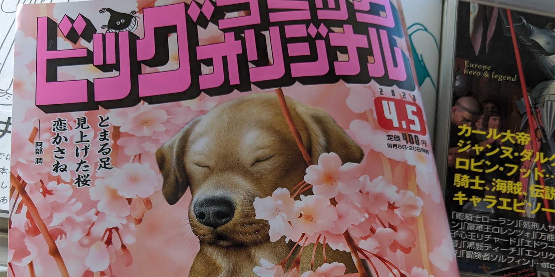 How Manga and Doujinshi Are Made