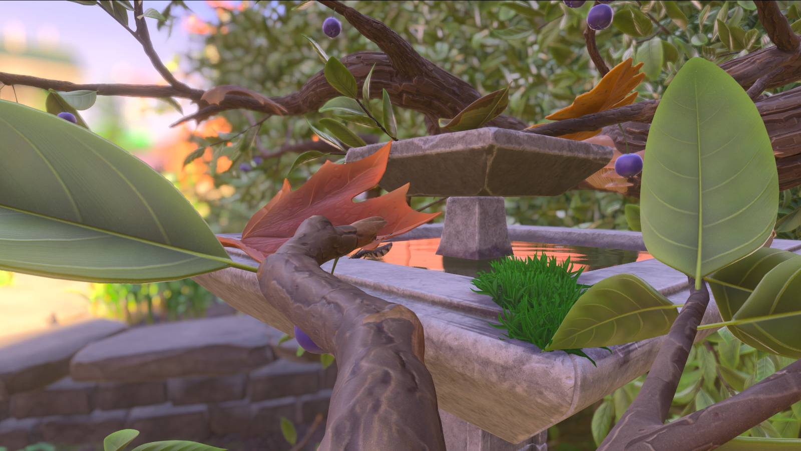 Grounded: How to Get onto Bird Bath