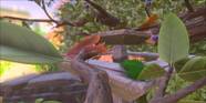 Grounded How To Get Onto Bird Bath Grounded How To Get Onto Bird Bath