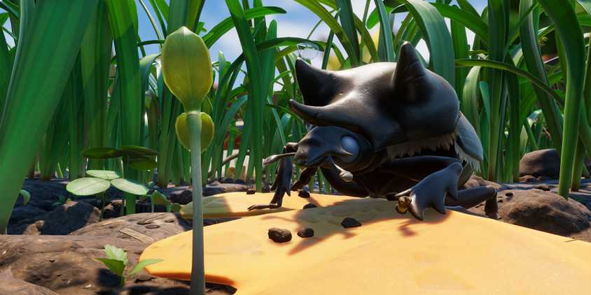 Grounded: Where to Find Termites