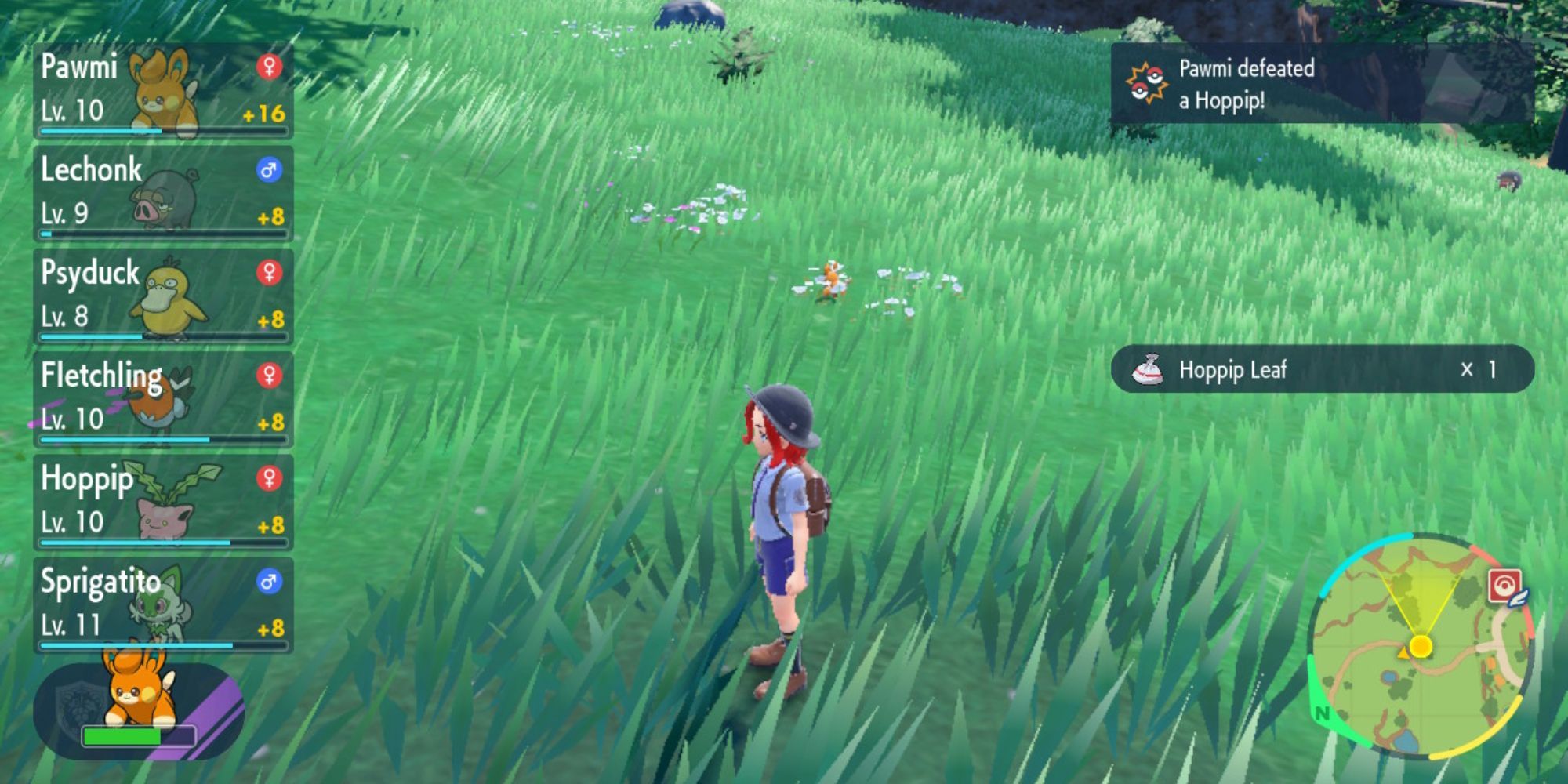 Pokemon Scarlet & Violet Beginner Tips