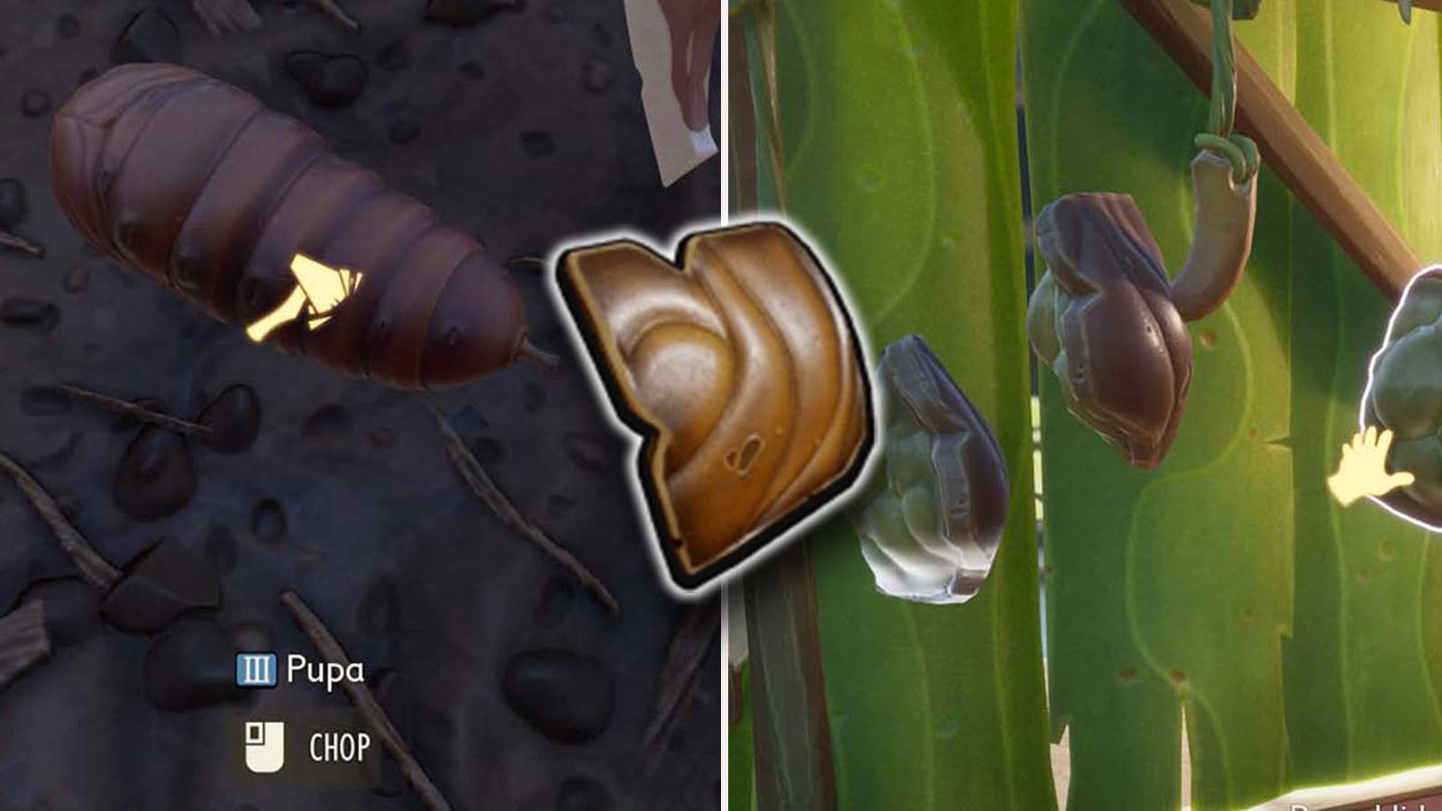 Grounded: How To Get Pupa Leather (& What It's For)