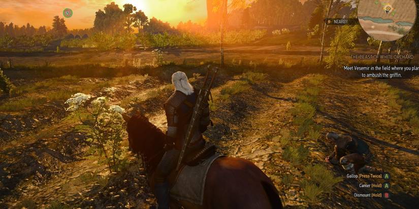 The Witcher 3: How To Get And Use The Crossbow - The Beast Of Wild Orchid