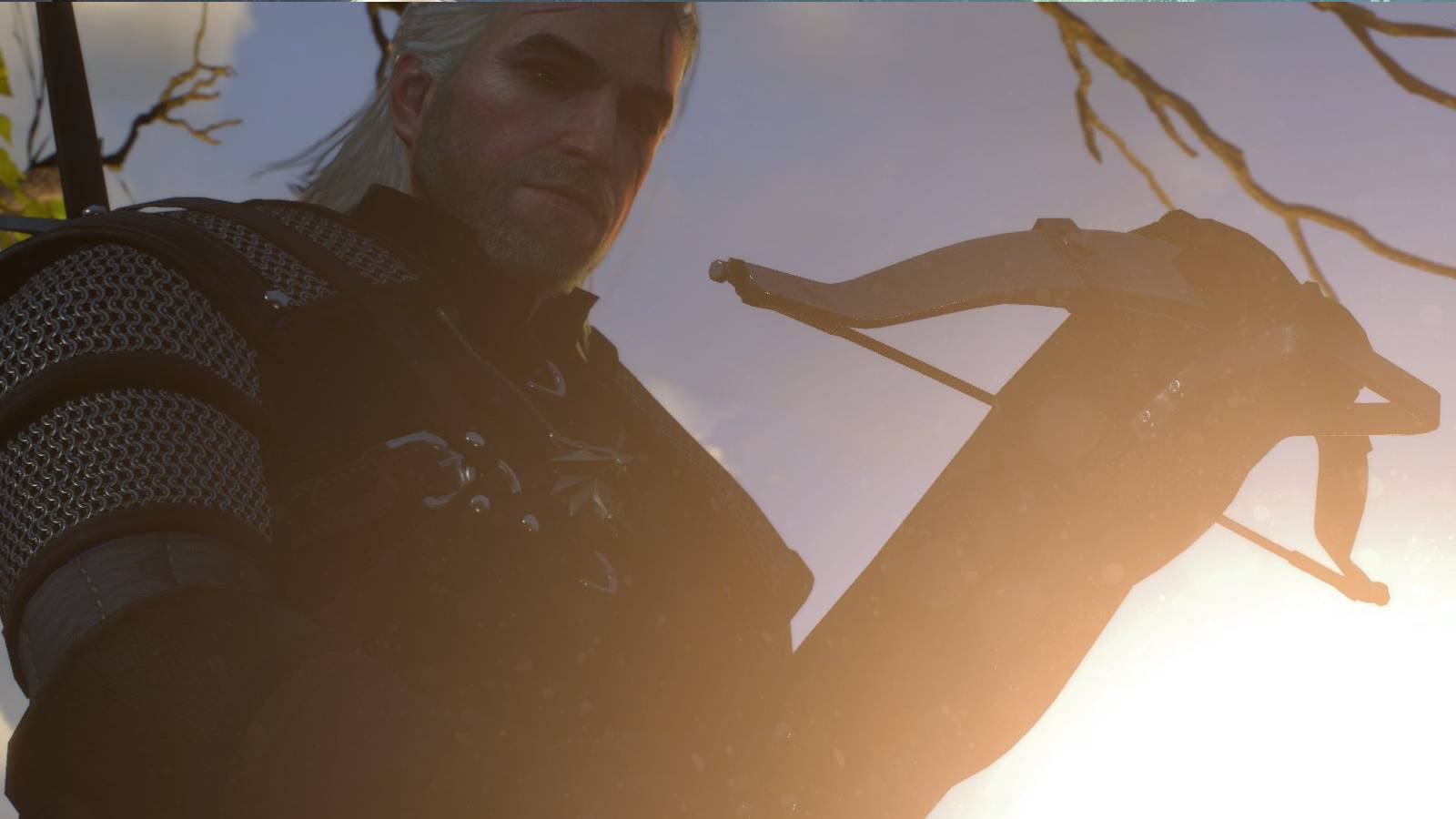 The Witcher 3: How To Get And Use The Crossbow - The Beast Of Wild Orchid
