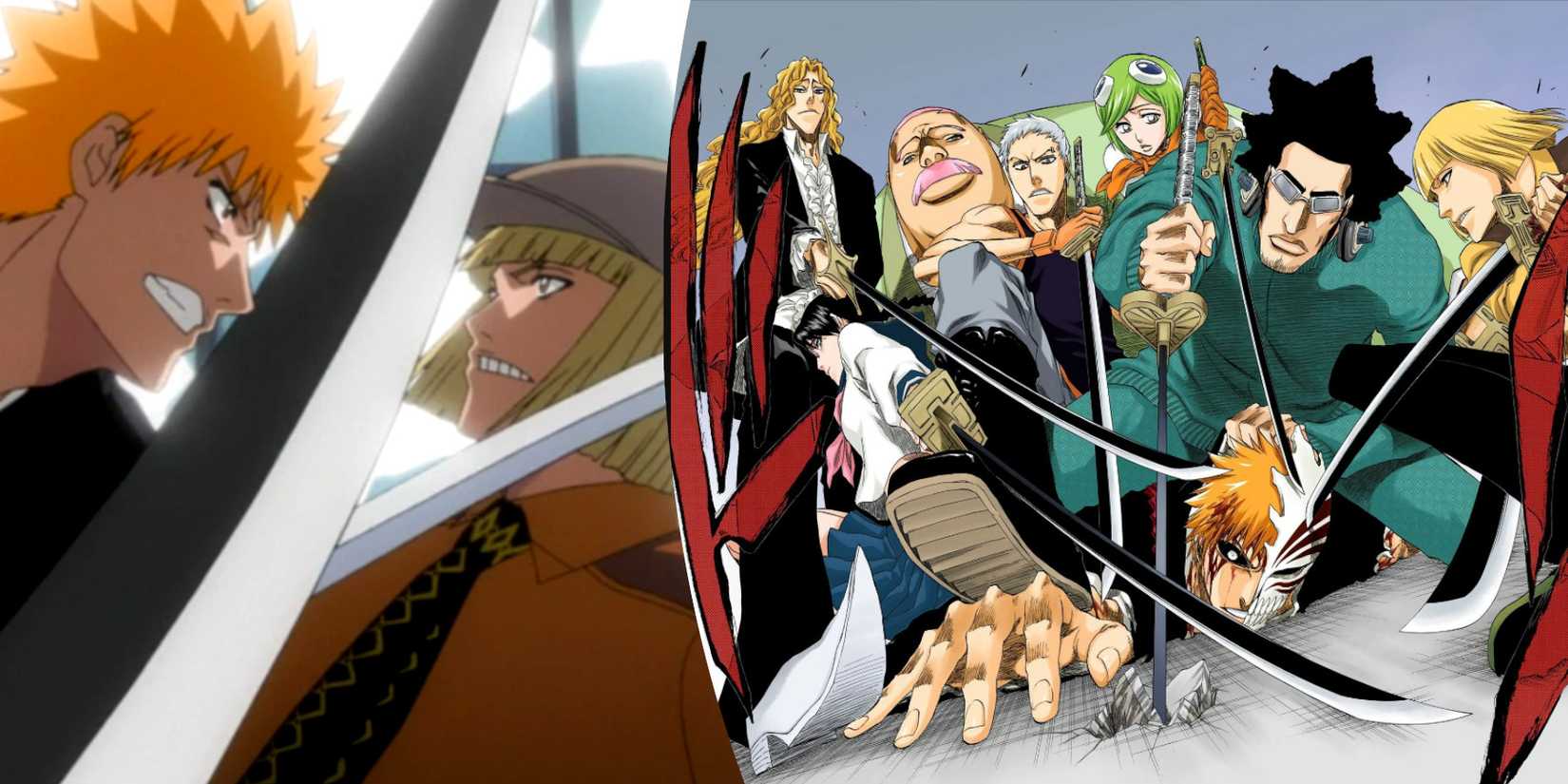 Bleach: Hollow Classes Explained