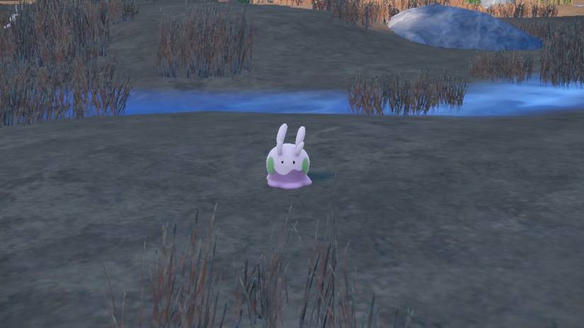 Pokemon Scarlet & Violet: How to Evolve Goomy & Sliggoo into Goodra