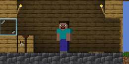 Minecraft Player Turns The Game Into A Mario Esque 2D Platformer