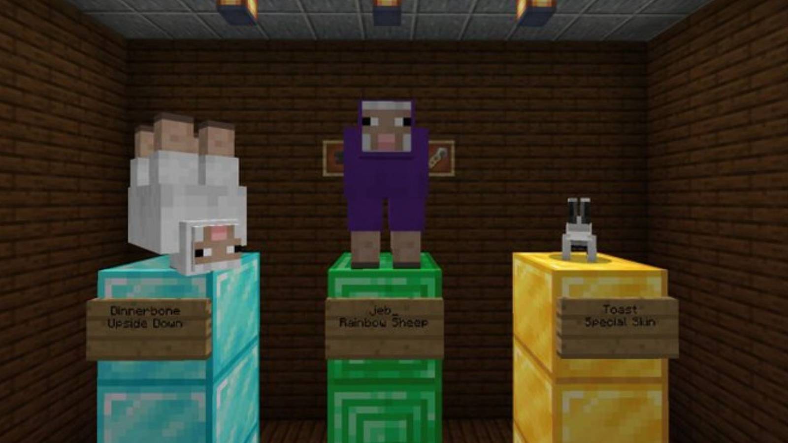 dinnerbone upside down