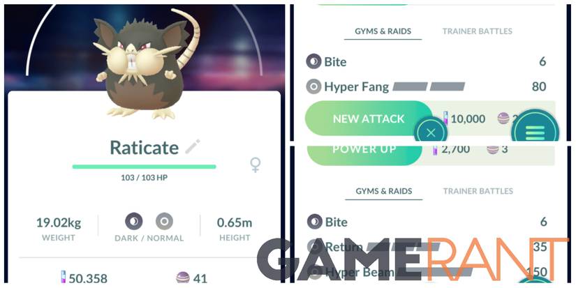 Pokemon GO: Best Moveset For Alolan Raticate