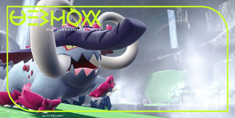 Pokemon VGC: The Best Setups