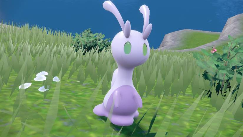 Pokemon Scarlet & Violet: How to Evolve Goomy & Sliggoo into Goodra