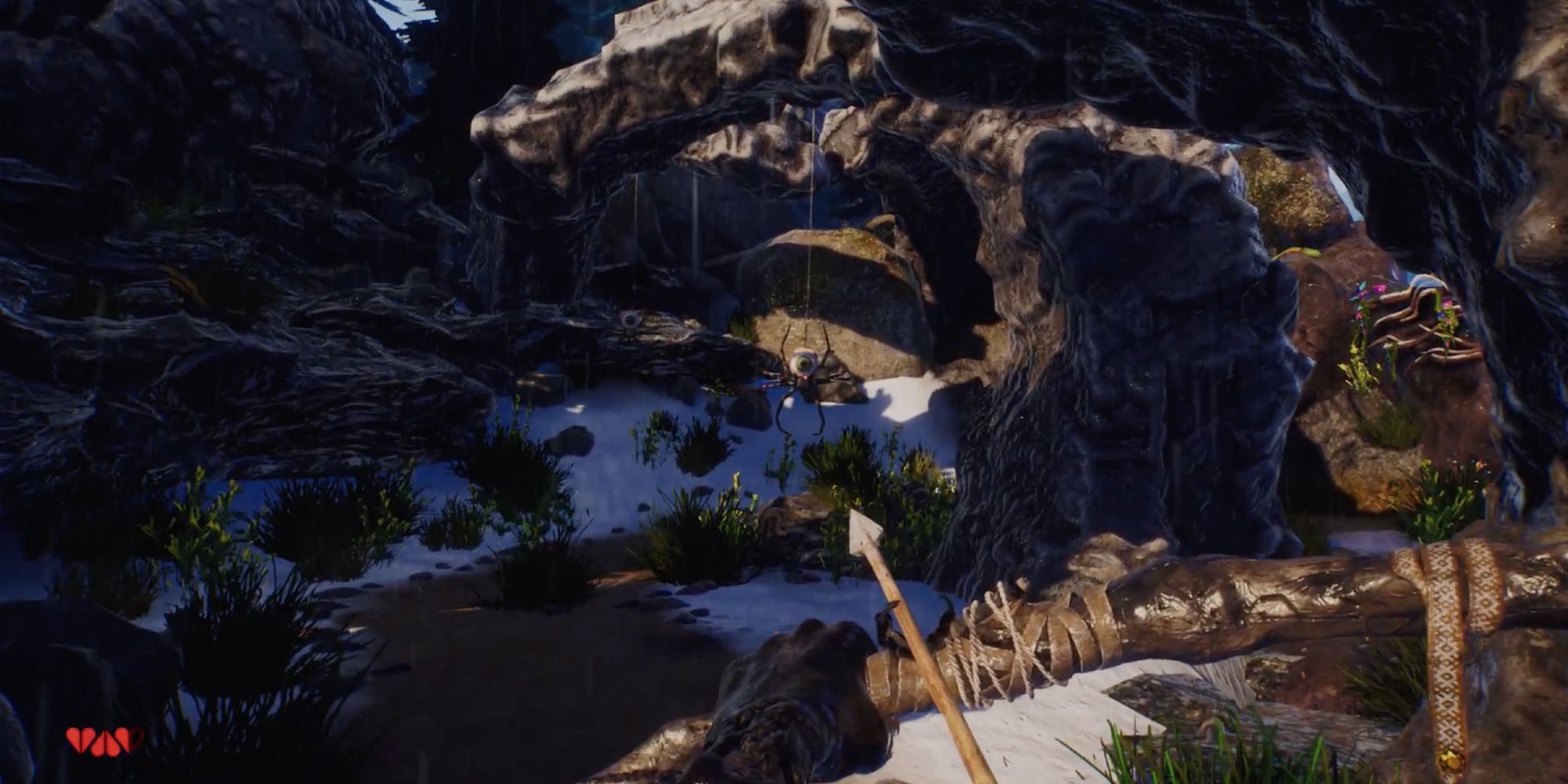 Beginner Tips For Blacktail