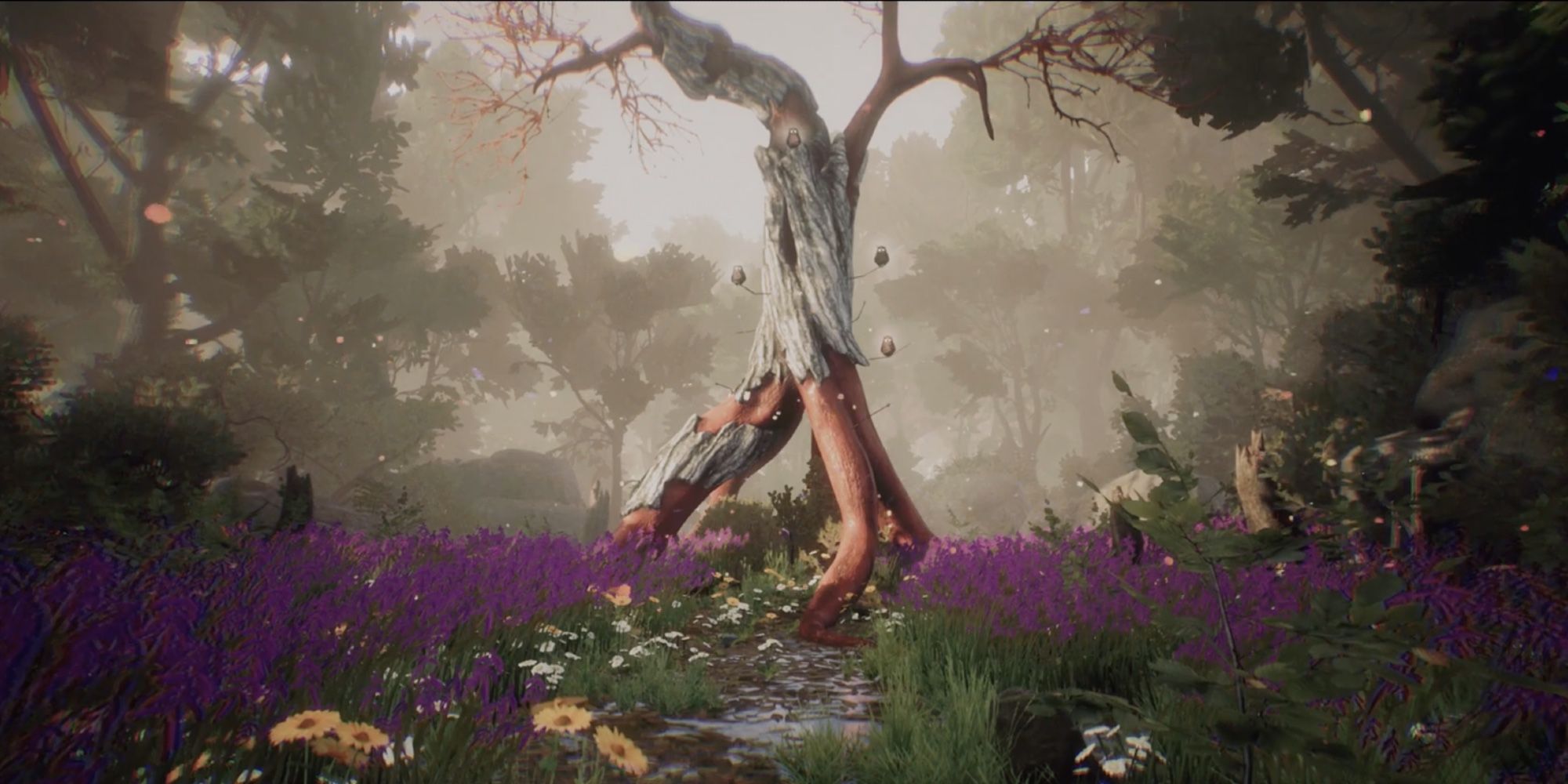 Beginner Tips For Blacktail