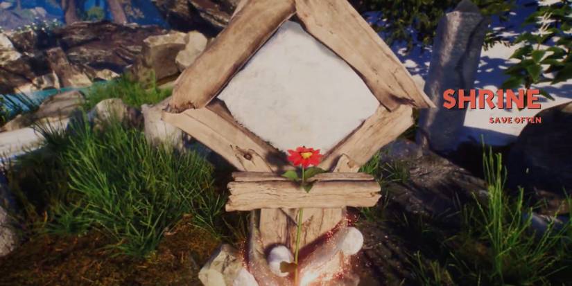 Beginner Tips For Blacktail