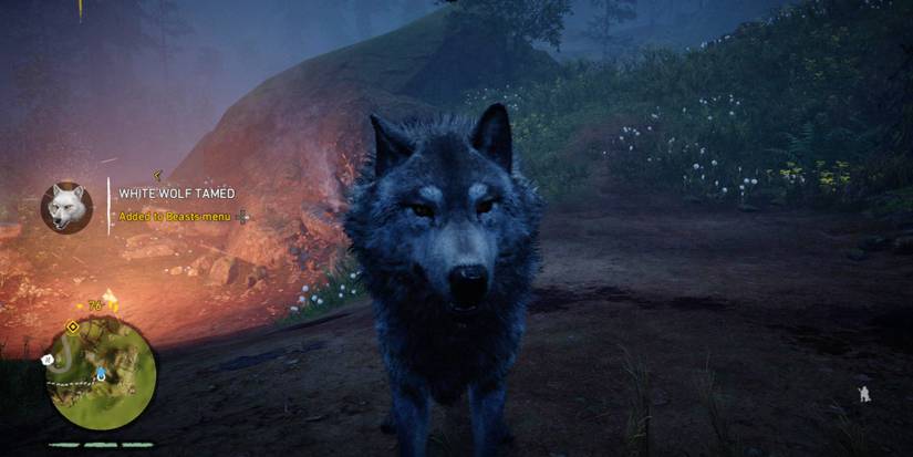 Far Cry Primal: How To Tame Animals