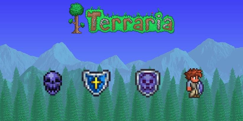 Terraria: How To Make The Ankh Shield