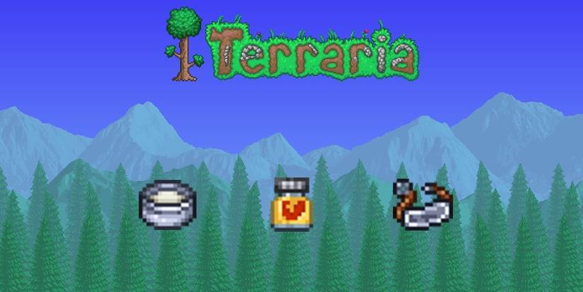 Terraria: How To Make The Ankh Shield