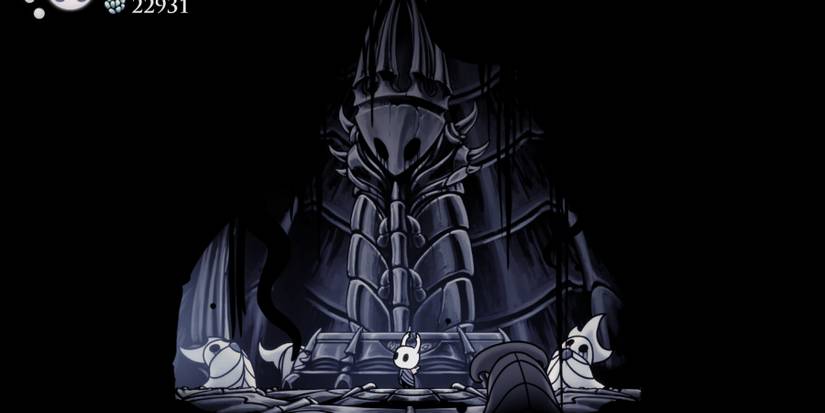Hollow Knight: The Void, Explained
