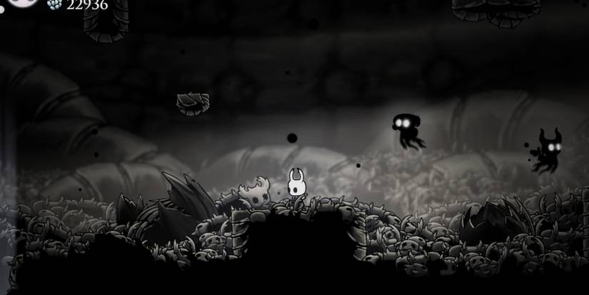 Hollow Knight: The Void, Explained