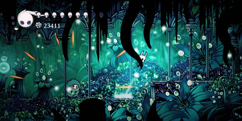 Hollow Knight: Delicate Flower Quest Walkthrough and Tips