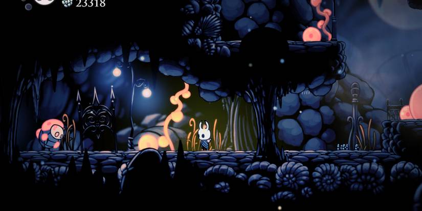 Hollow Knight: Delicate Flower Quest Walkthrough and Tips