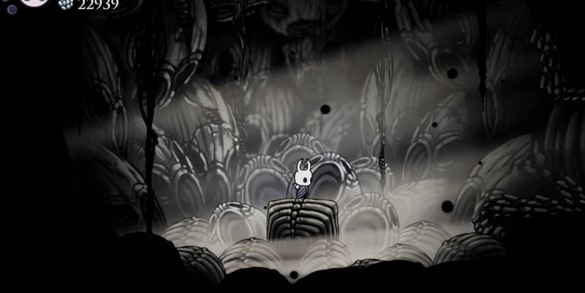 Hollow Knight: The Void, Explained