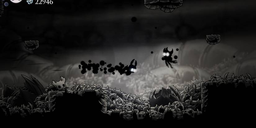 Hollow Knight: The Void, Explained