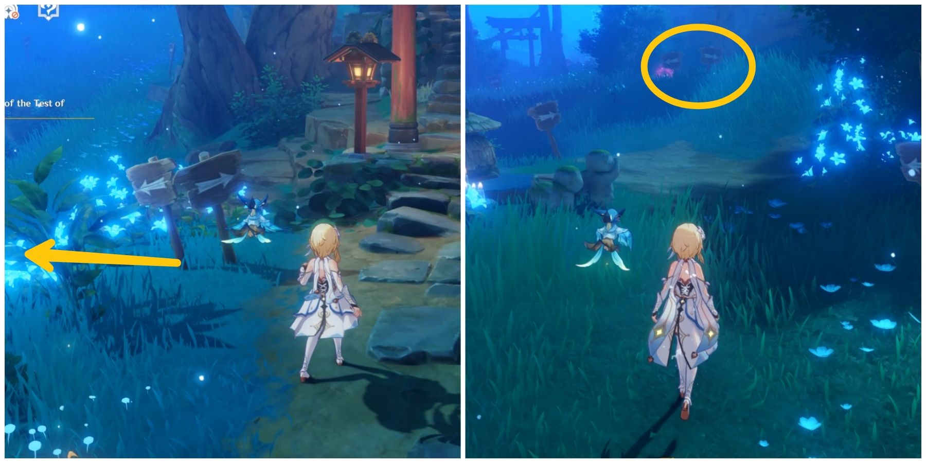 Genshin Impact: Fan Location In Test Of Courage Round 2 (Akitsu ...