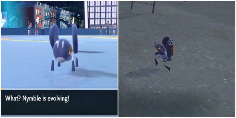 Pokemon Scarlet & Violet: How To Catch Nymble And Evolve It Into Lokix