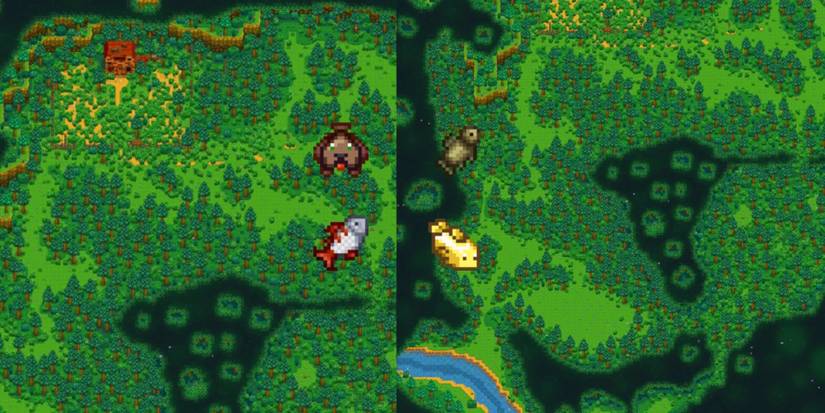 Stardew Valley Expanded: New Fish Locations