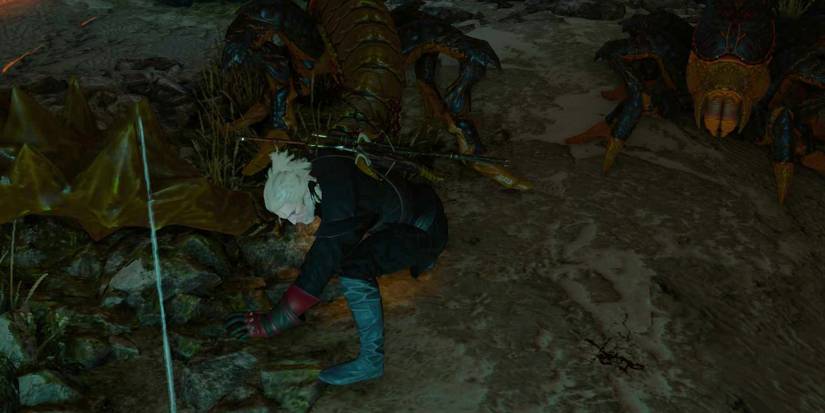 The Witcher 3 Contract Guide: Skellige's Most Wanted