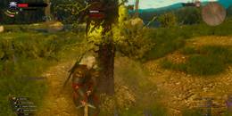 The Witcher 3 What s The Max Level With And Without DLC 