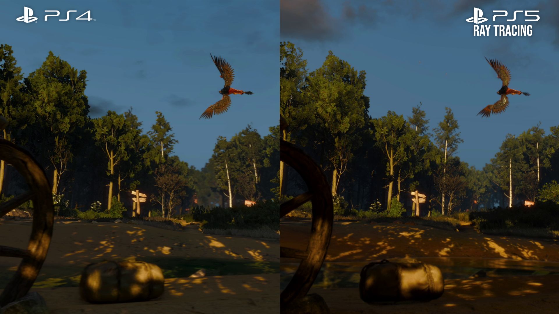 The Witcher 3: Wild Hunt Next-Gen Update Review